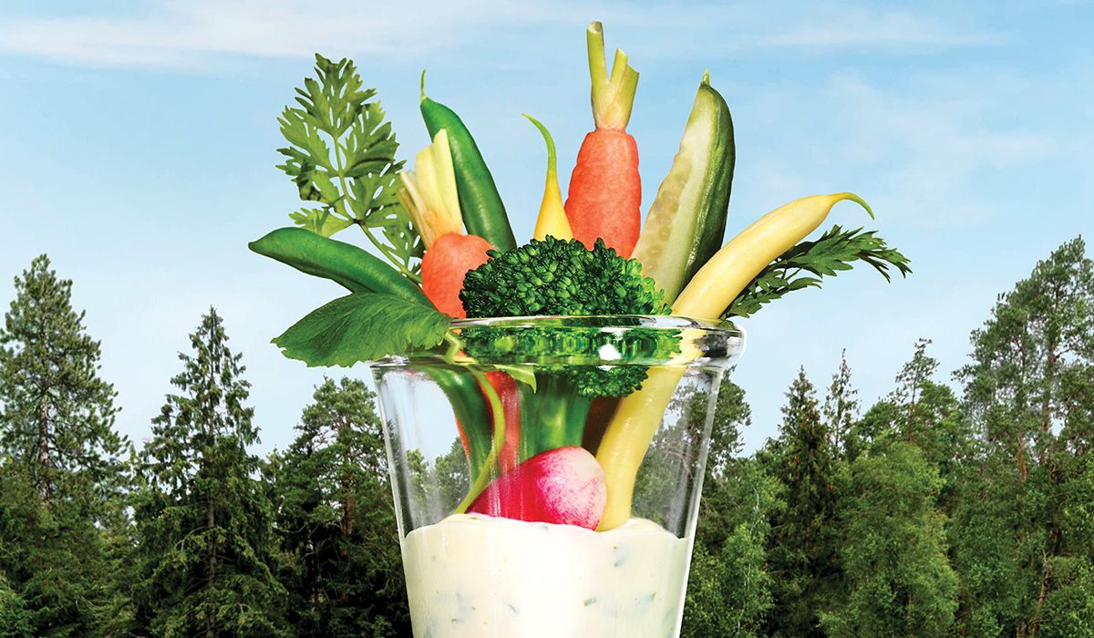 Trio de trempette RANCH rapido (CLASSIQUE, VÉGANE et ALLÉGÉE ...